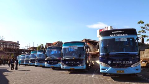Info Lengkap Foto dan Harga Sewa Bus Pariwisata Blue Star