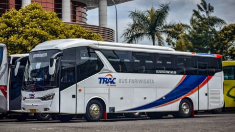 Info Lengkap Foto dan Harga Sewa Bus Pariwisata Trac
