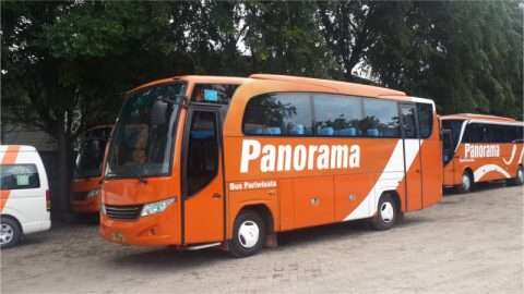 Info Lengkap Foto dan Harga Sewa Bus Pariwisata Panorama- Saturental