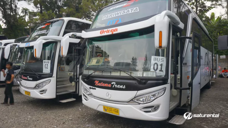 Info Lengkap Foto dan Harga Sewa Bus Pariwisata Natama Trans