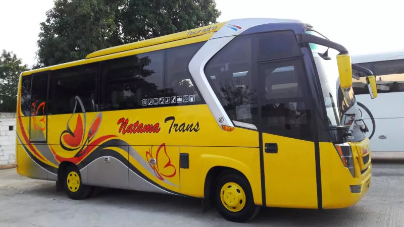 Info Lengkap Foto dan Harga Sewa Bus Pariwisata Natama Trans