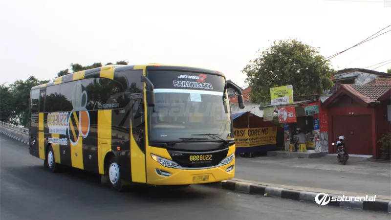 Info Lengkap Foto dan Harga Sewa Bus Pariwisata BeeBuzz - Saturental
