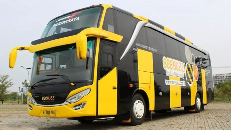 Info Lengkap Foto dan Harga Sewa Bus Pariwisata BeeBuzz - Saturental