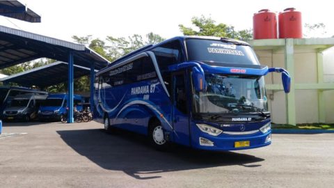 Info Lengkap Foto dan Harga Sewa Bus Pariwisata Pandawa 87