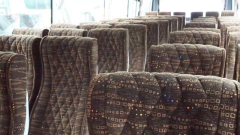 Info Lengkap Foto Harga Sewa Bus Pariwisata Ness Trans - Saturental