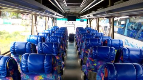 Info Lengkap Foto Harga Sewa Bus Pariwisata Ness Trans - Saturental