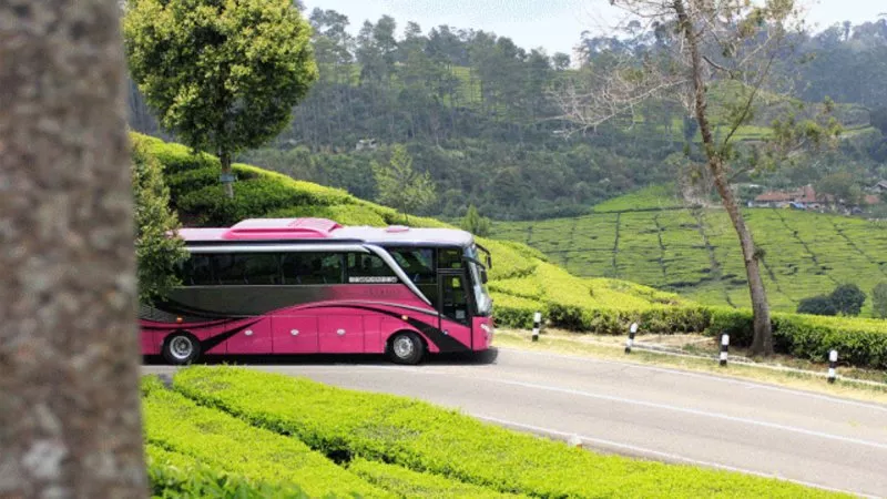 Info Lengkap Foto dan Harga Sewa Bus Pariwisata Patriot - Saturental
