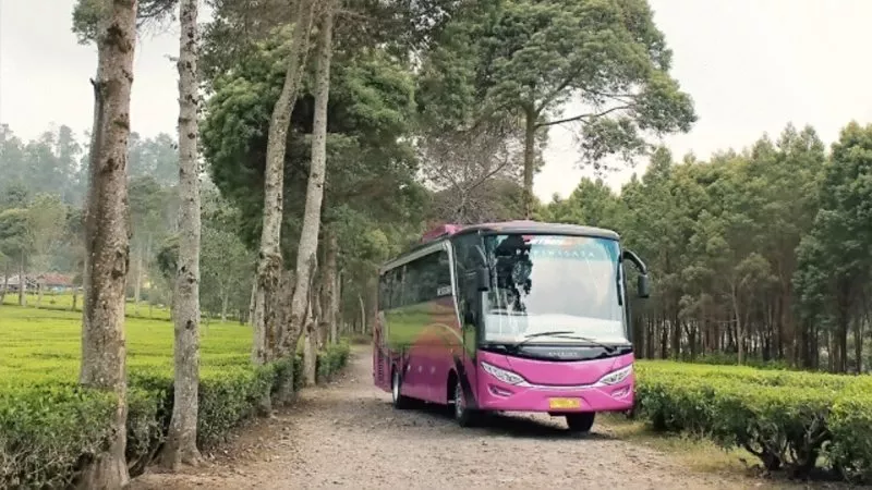 Info Lengkap Foto dan Harga Sewa Bus Pariwisata Patriot - Saturental