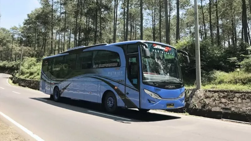 Info Lengkap Foto dan Harga Sewa Bus Pariwisata Patriot - Saturental