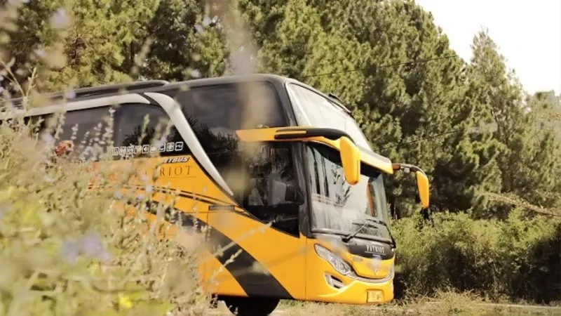 Info Lengkap Foto dan Harga Sewa Bus Pariwisata Patriot - Saturental