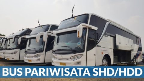 Info Lengkap Foto dan Harga Sewa Bus Pariwisata SHD HDD