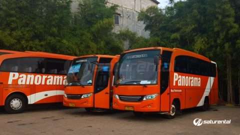 Info Lengkap Foto dan Harga Sewa Bus Pariwisata Panorama