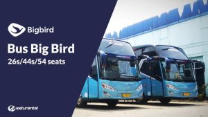 Info Lengkap Foto dan Harga Sewa Bus Pariwisata Big Bird - Saturental