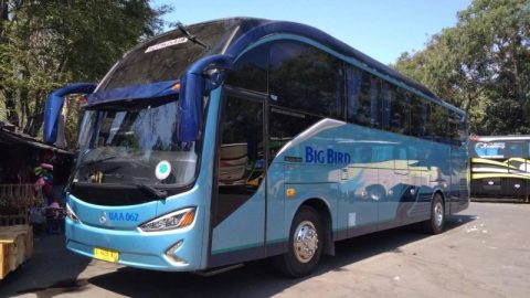 Info Lengkap Foto dan Harga Sewa Bus Pariwisata Big Bird