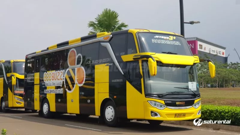 Info Lengkap Foto dan Harga Sewa Bus Pariwisata BeeBuzz - Saturental