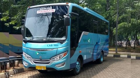Info Lengkap Foto dan Harga Sewa Bus Pariwisata Big Bird